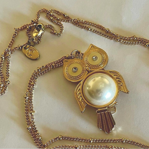 Charming Charlie | Jewelry | Nwot Gold Owl Necklace From Charming ...